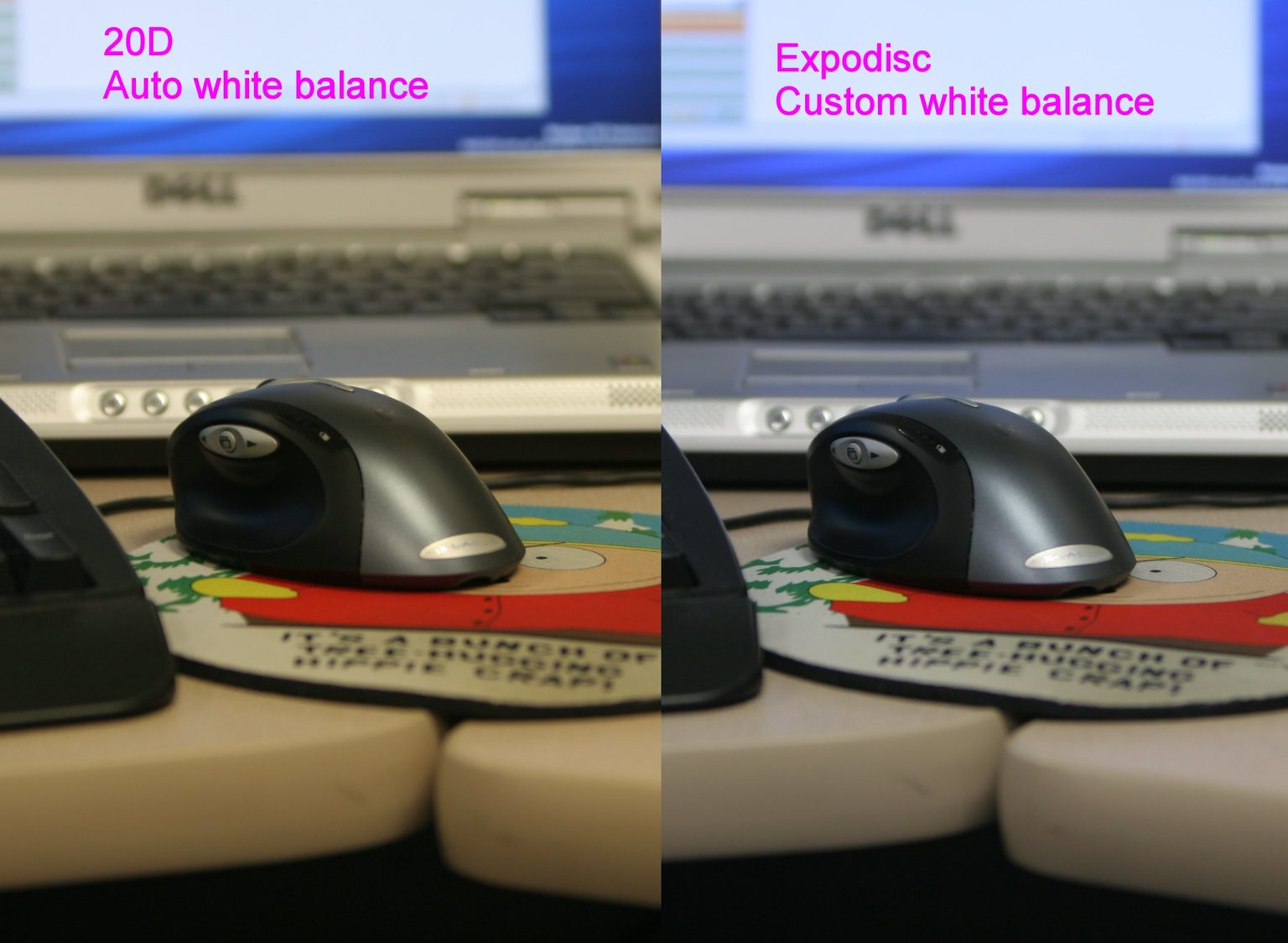 White balance in photography: all you need to know - Photeeq