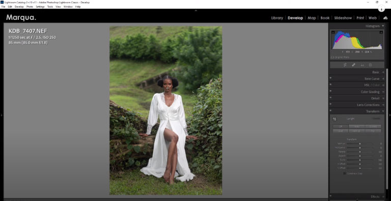 White balance in photography: all you need to know - Photeeq