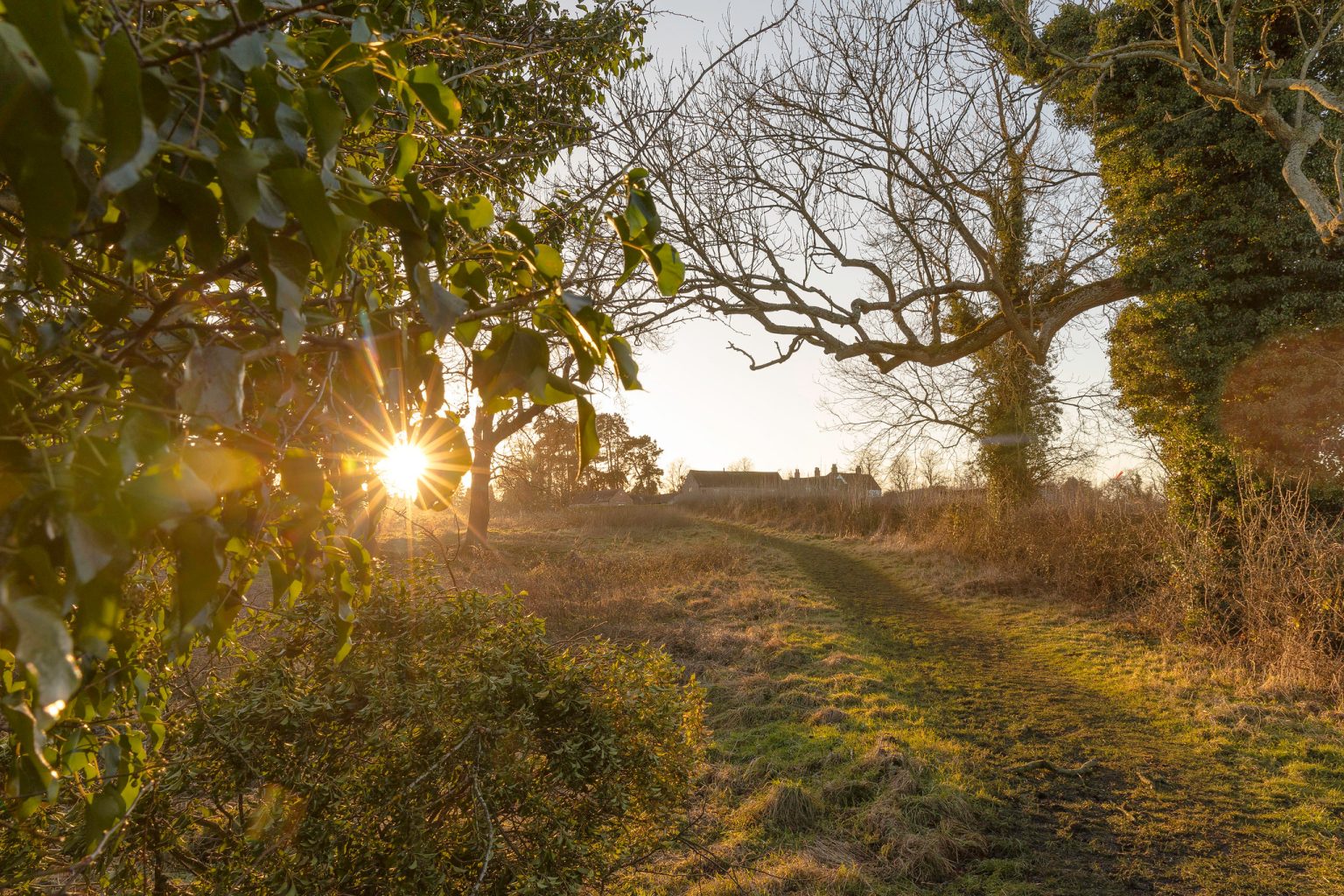 Lens flare: what is it and how to avoid it - Photeeq