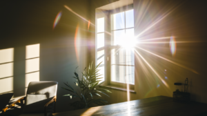 Lens flare: what is it and how to avoid it - Photeeq