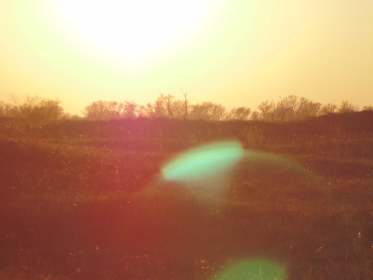 Lens flare: what is it and how to avoid it - Photeeq